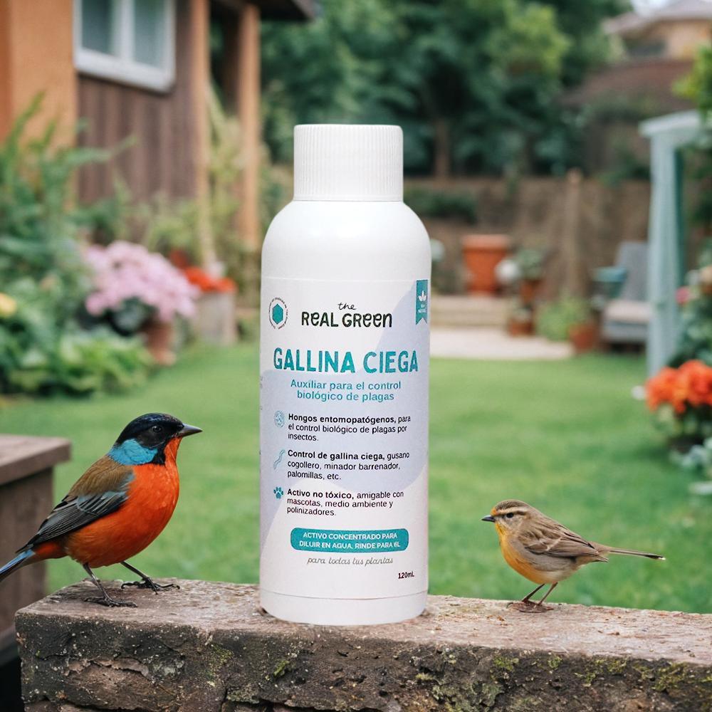 Auxiliar orgánico para el control de gallina ciega