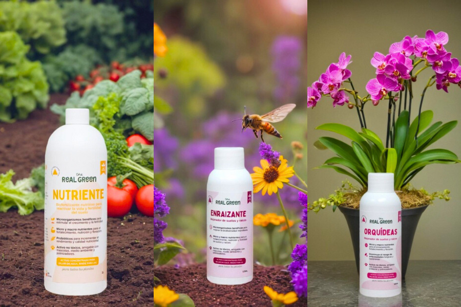 Productos 100% naturales para plantas y jardín